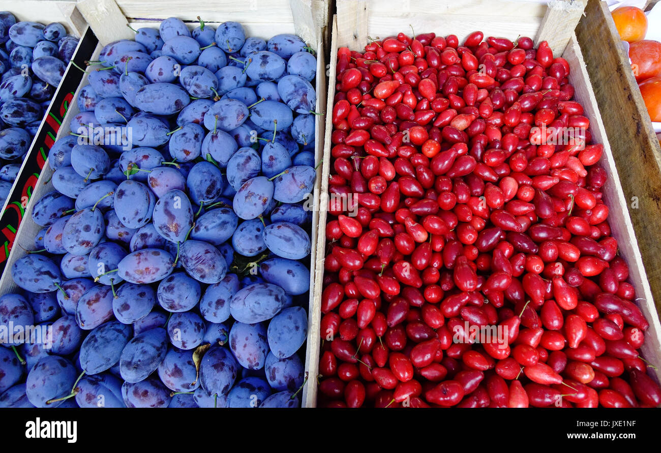 Fresh fruits for sale a rural market in Saint Petersburg, Russia Stock ...