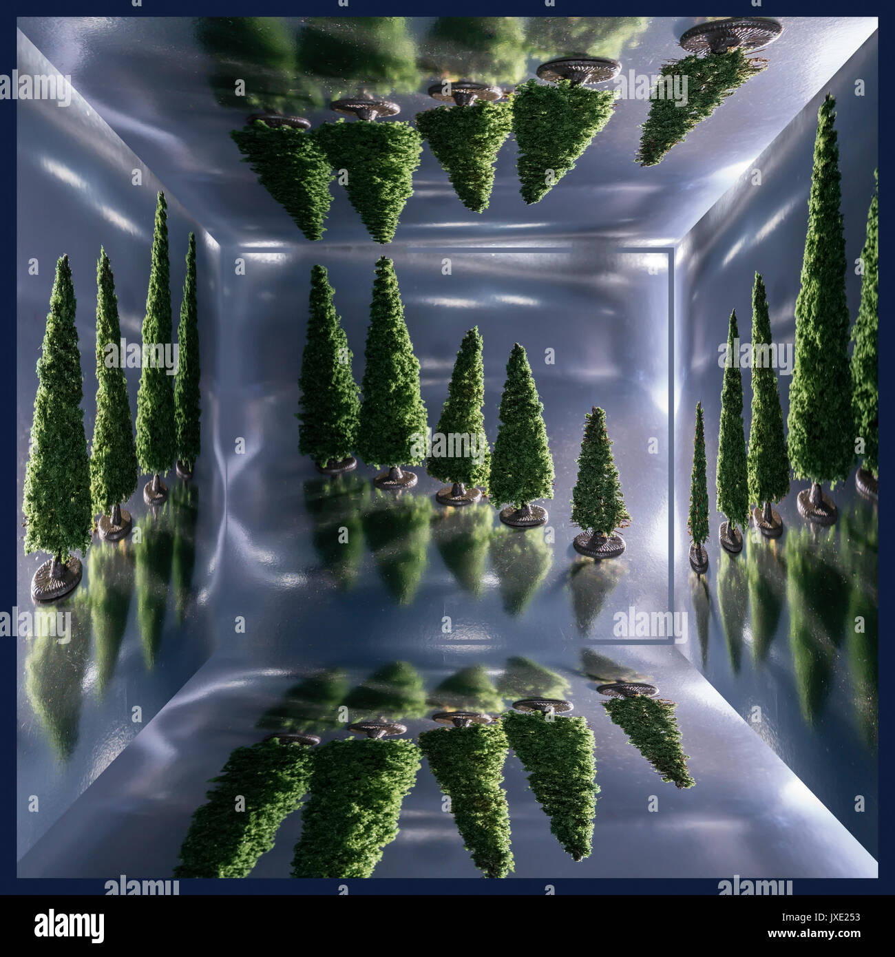 Xmax tree hi-res stock photography and images - Alamy