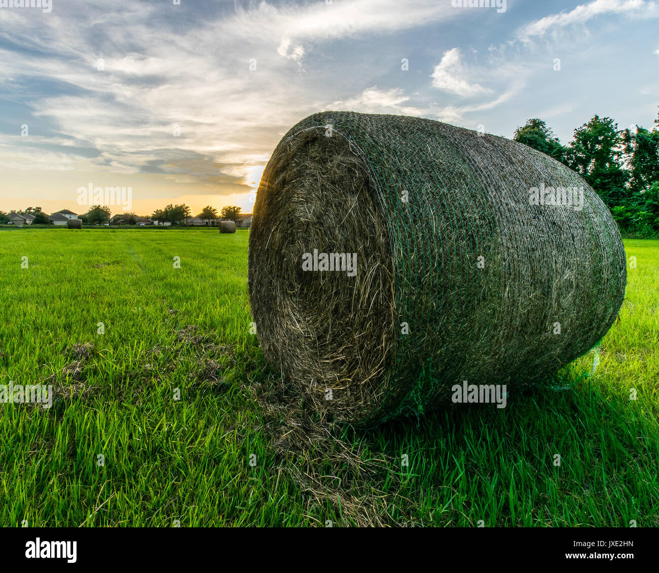 Bail hay straw agriculture hi-res stock photography and images - Alamy
