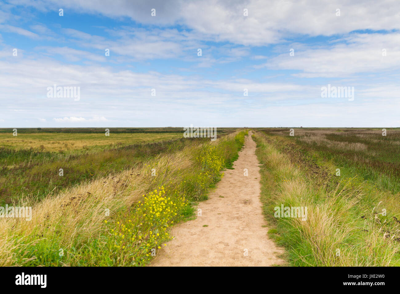 Blakeney Freshes, which is a fresh water marsh next to the saltmarsh in ...