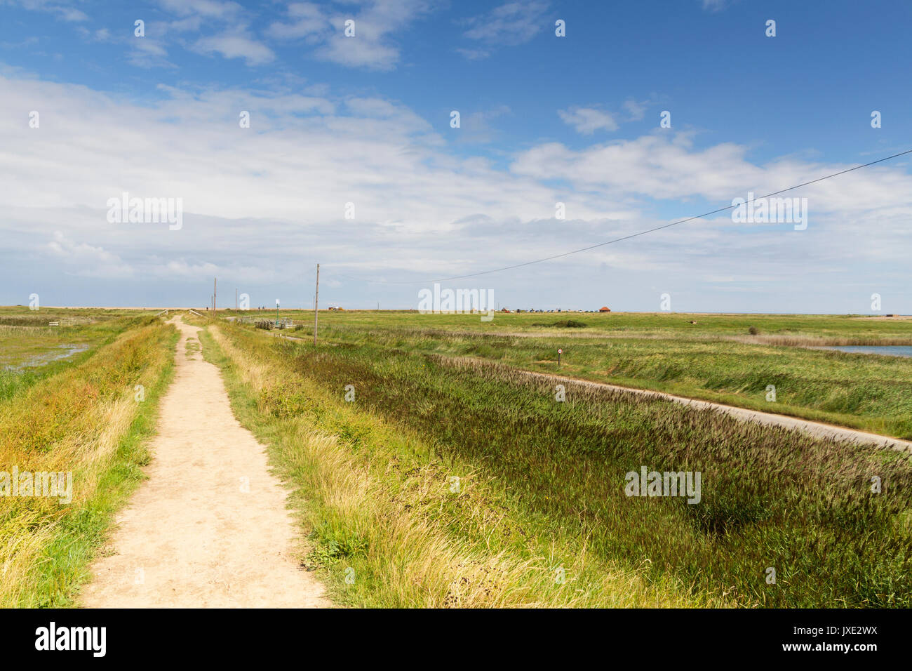 Blakeney Freshes, which is a fresh water marsh next to the saltmarsh in ...