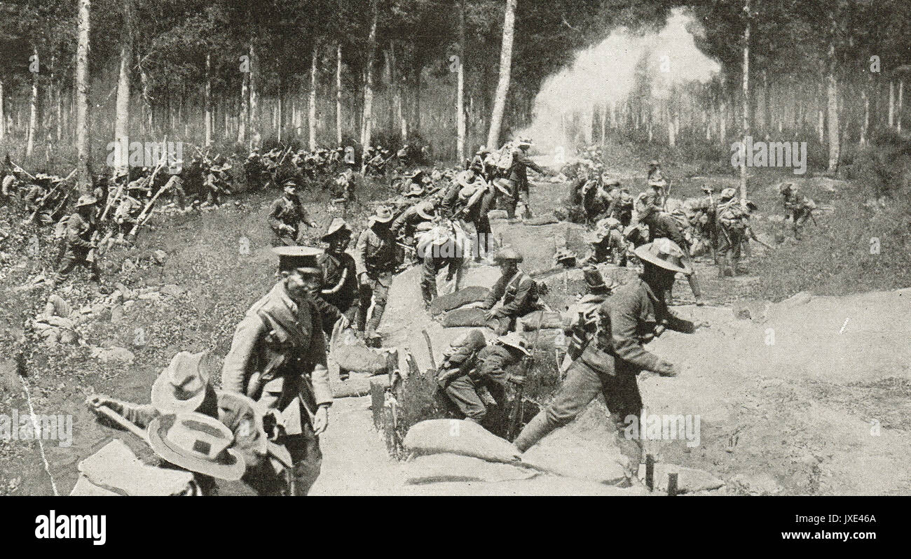 Ww1 trench line hi-res stock photography and images - Alamy