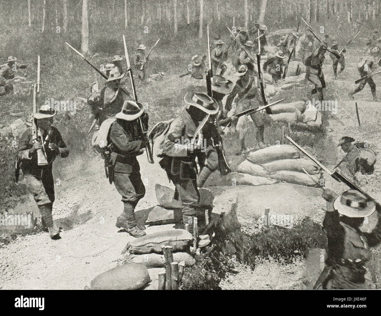 Ww1 trench line hi-res stock photography and images - Alamy