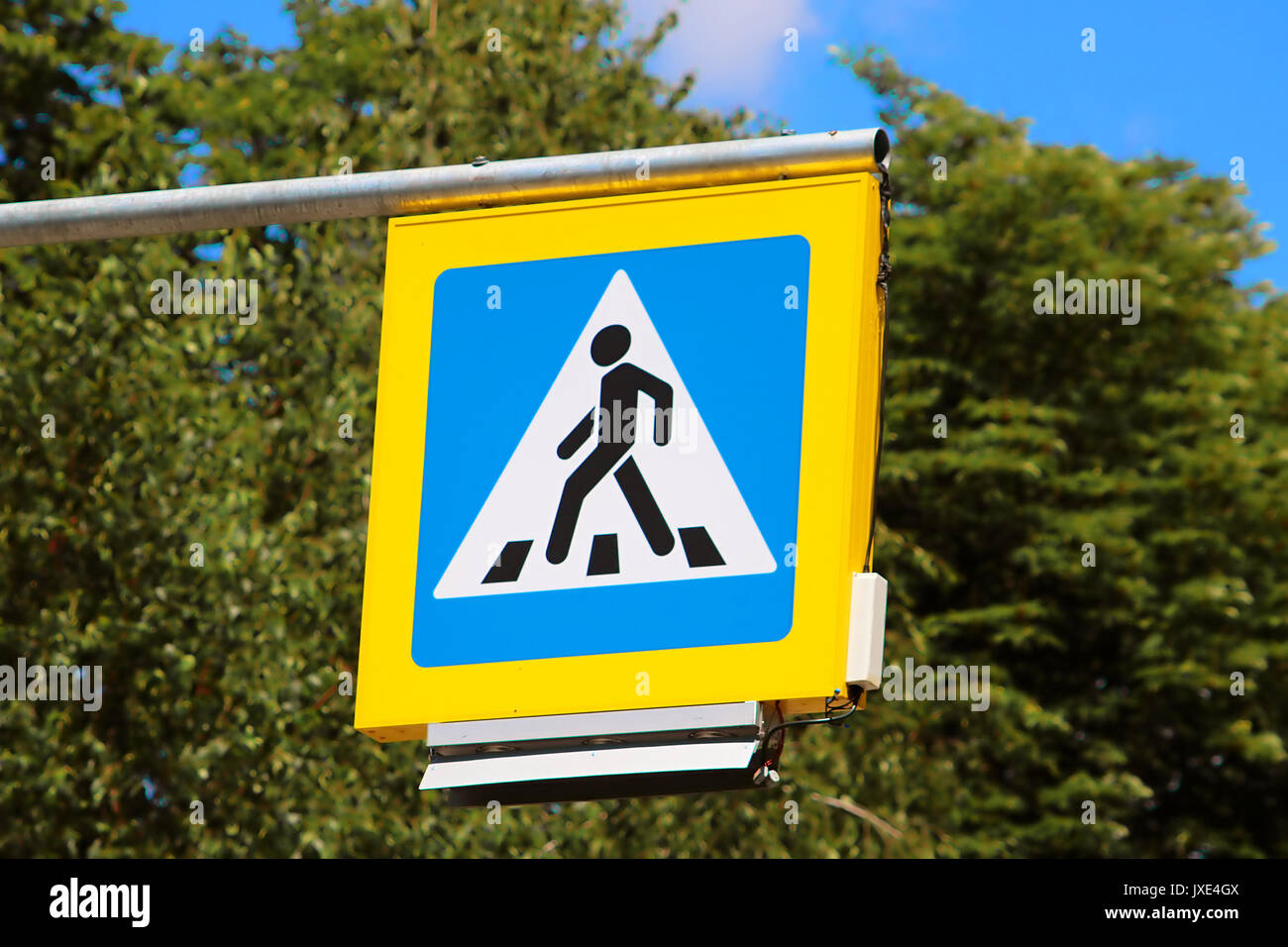 Road sign pedestrian crossing on background of trees Stock Photo - Alamy