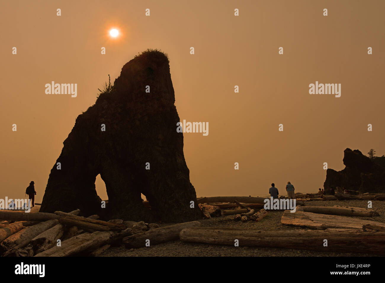 Olympic National Park has three distinct ecosystems which are sub ...