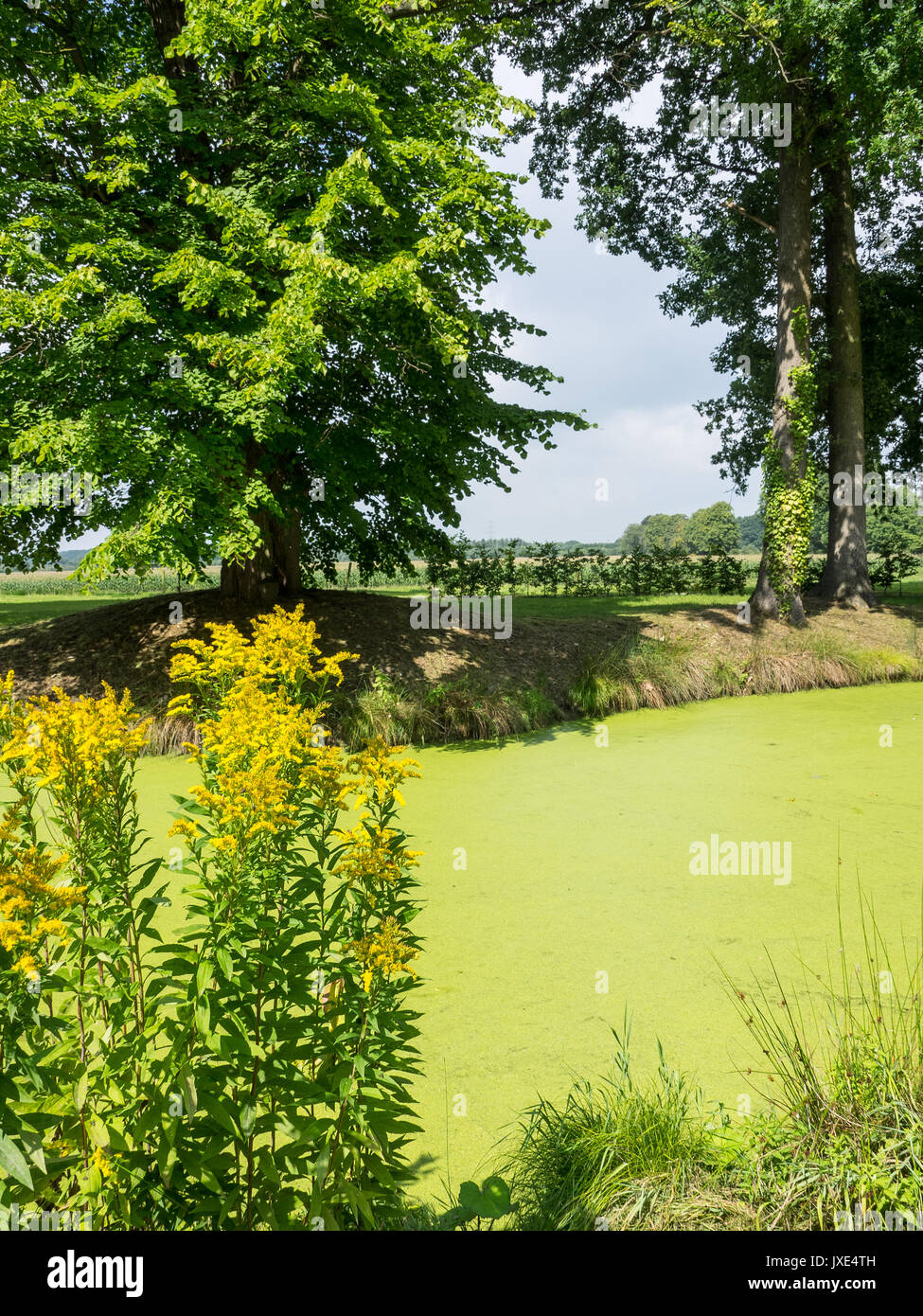 the lower rhine in germany Stock Photo - Alamy
