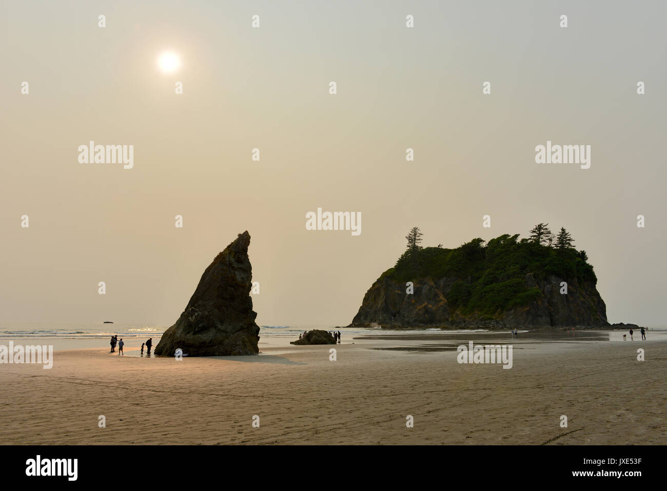 Olympic National Park has three distinct ecosystems which are sub ...