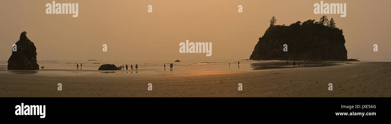 Olympic National Park has three distinct ecosystems which are sub ...