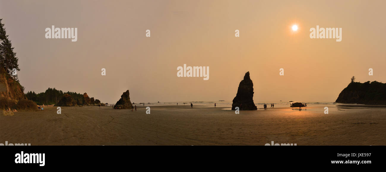 Olympic National Park has three distinct ecosystems which are sub ...