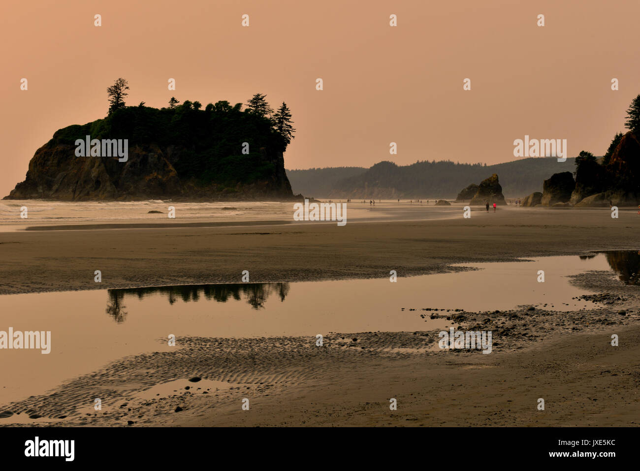 Olympic National Park has three distinct ecosystems which are sub ...