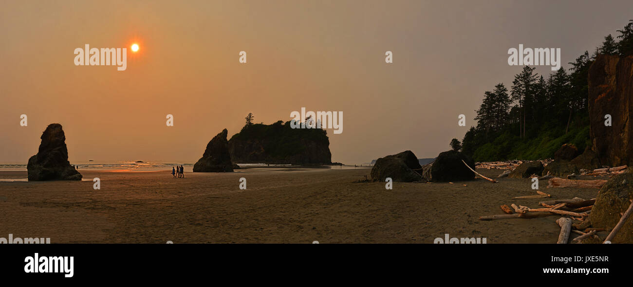 Olympic National Park has three distinct ecosystems which are sub ...