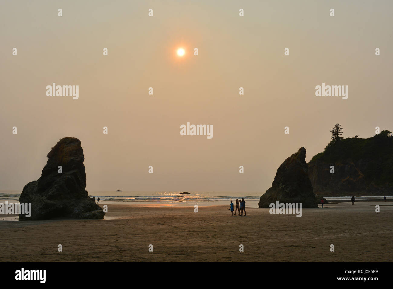 Olympic National Park has three distinct ecosystems which are sub ...