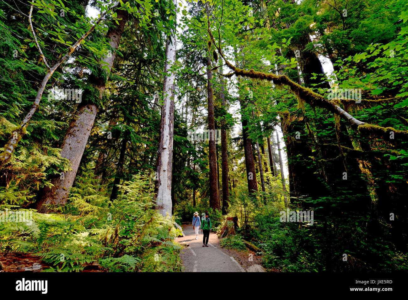 Olympic national forest aerial hi-res stock photography and images - Alamy
