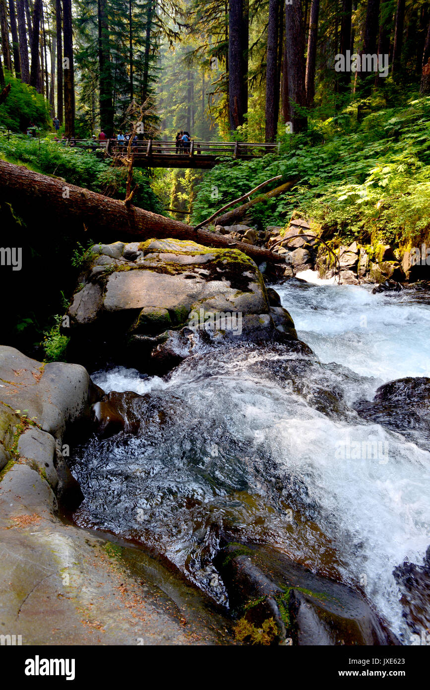Olympic National Park has three distinct ecosystems which are sub ...