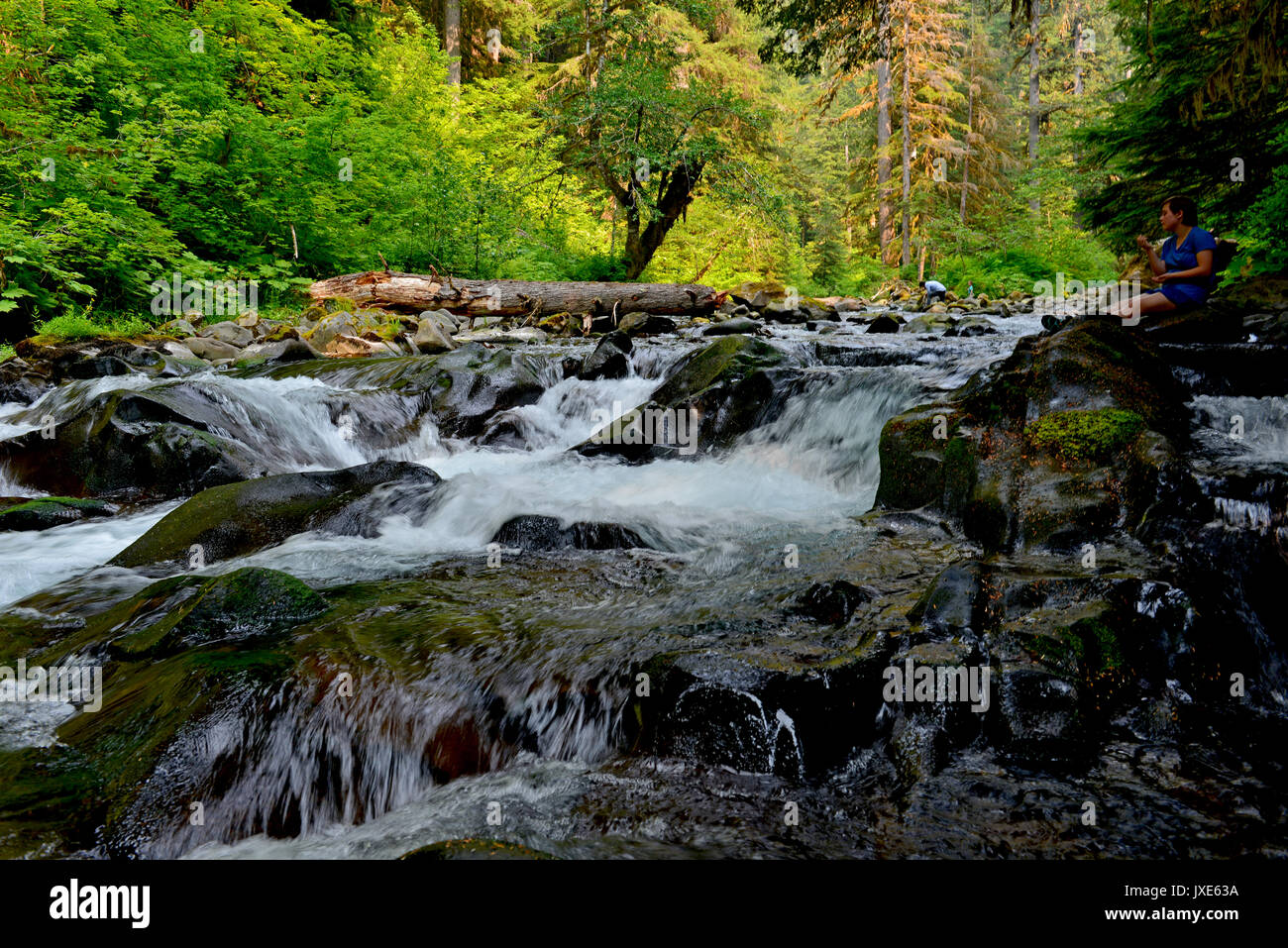 Olympic national forest aerial hi-res stock photography and images - Alamy