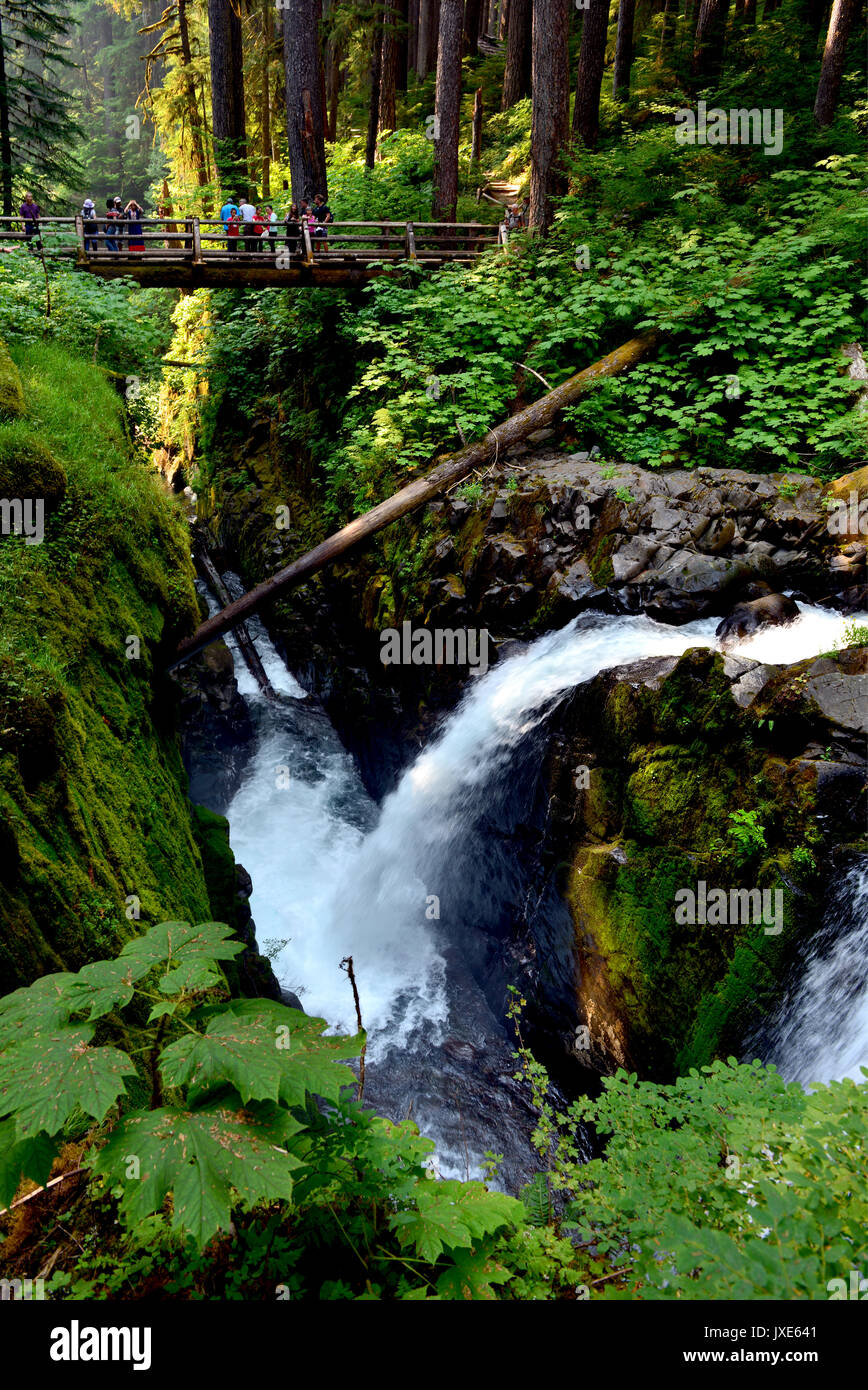 Olympic National Park has three distinct ecosystems which are sub ...