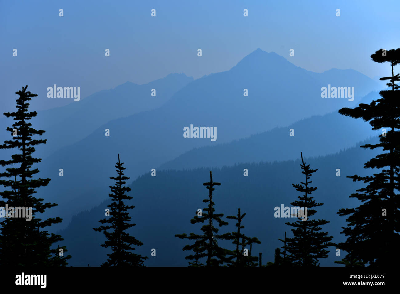 Olympic National Park has three distinct ecosystems which are sub ...