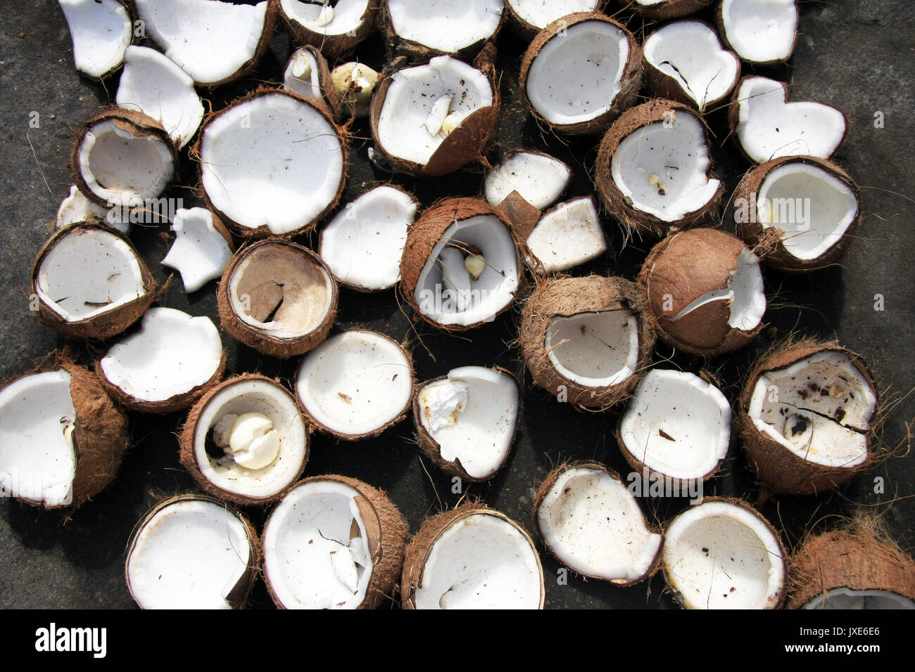Broken coconut shells on the ground in Bali, Indonesia Stock Photo - Alamy