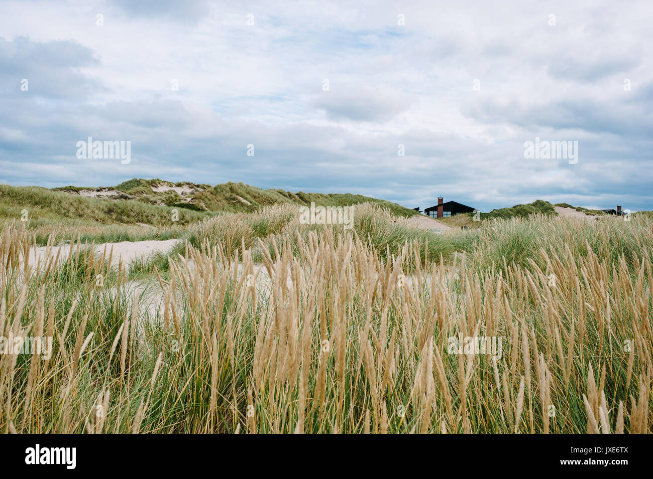 Beautiful denmark landscape hi-res stock photography and images - Alamy