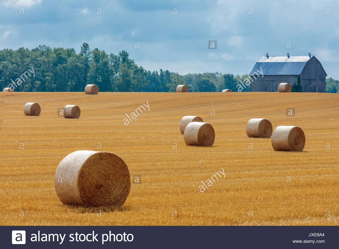 Hay Bale Barn High Resolution Stock Photography and Images - Alamy