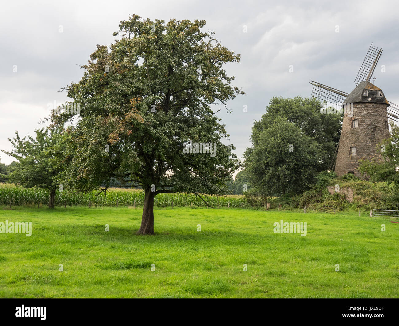 the lower rhine in germany Stock Photo - Alamy