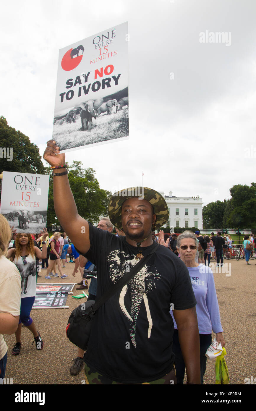Congolese Park Ranger Adams Cassinga (photo) spoke on behalf to ...