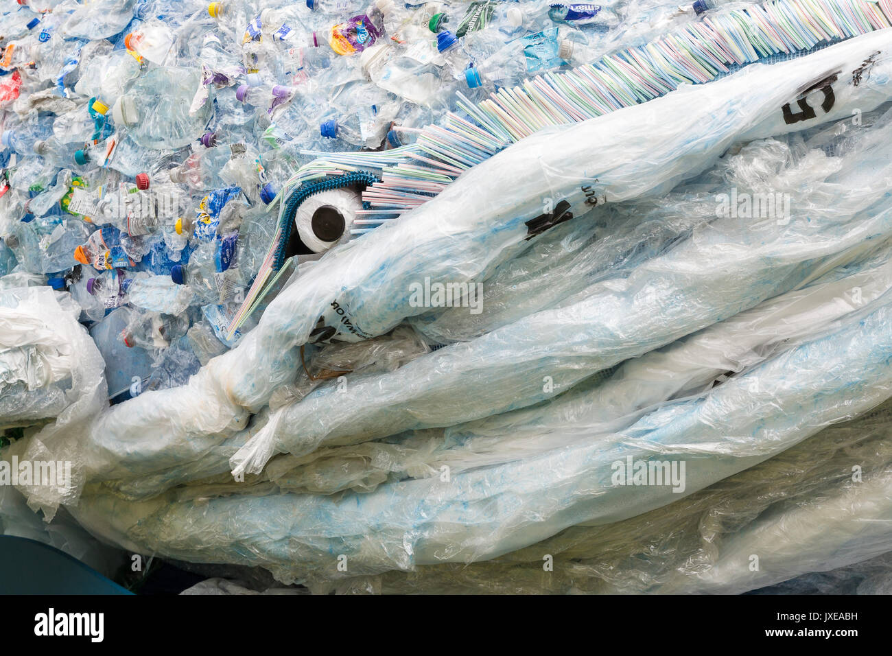 Whale made from plastic bottles hi-res stock photography and images - Alamy