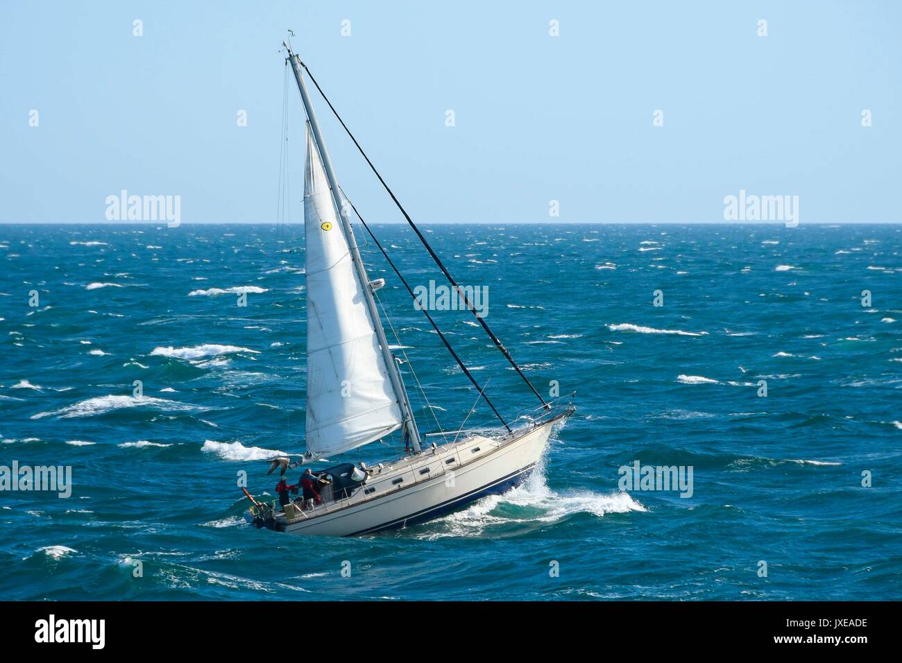 Buffeted hi-res stock photography and images - Alamy
