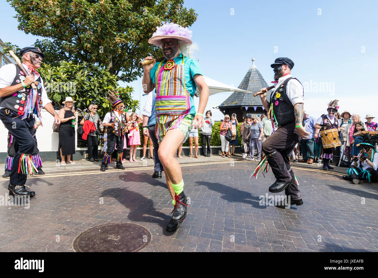 Morris fool hi-res stock photography and images - Alamy