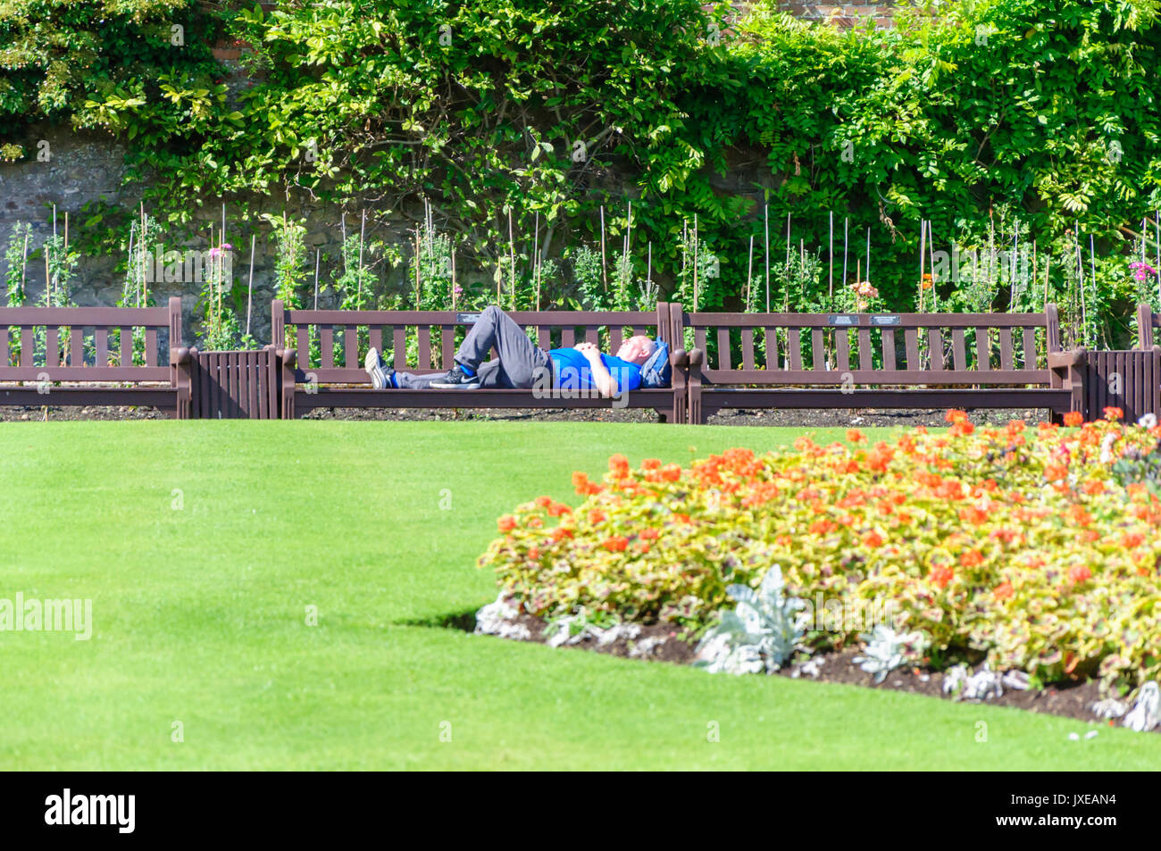 Glasgow, Scotland, UK. 15th August, 2017. UK Weather. A man lays down ...