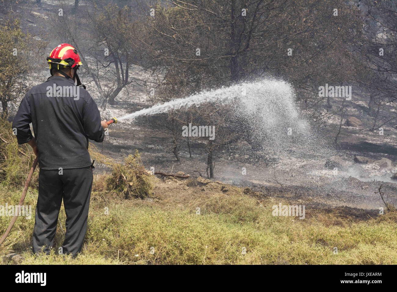 Athens, Greece. 15th Aug, 2017. Firefighters with the assistance of ...