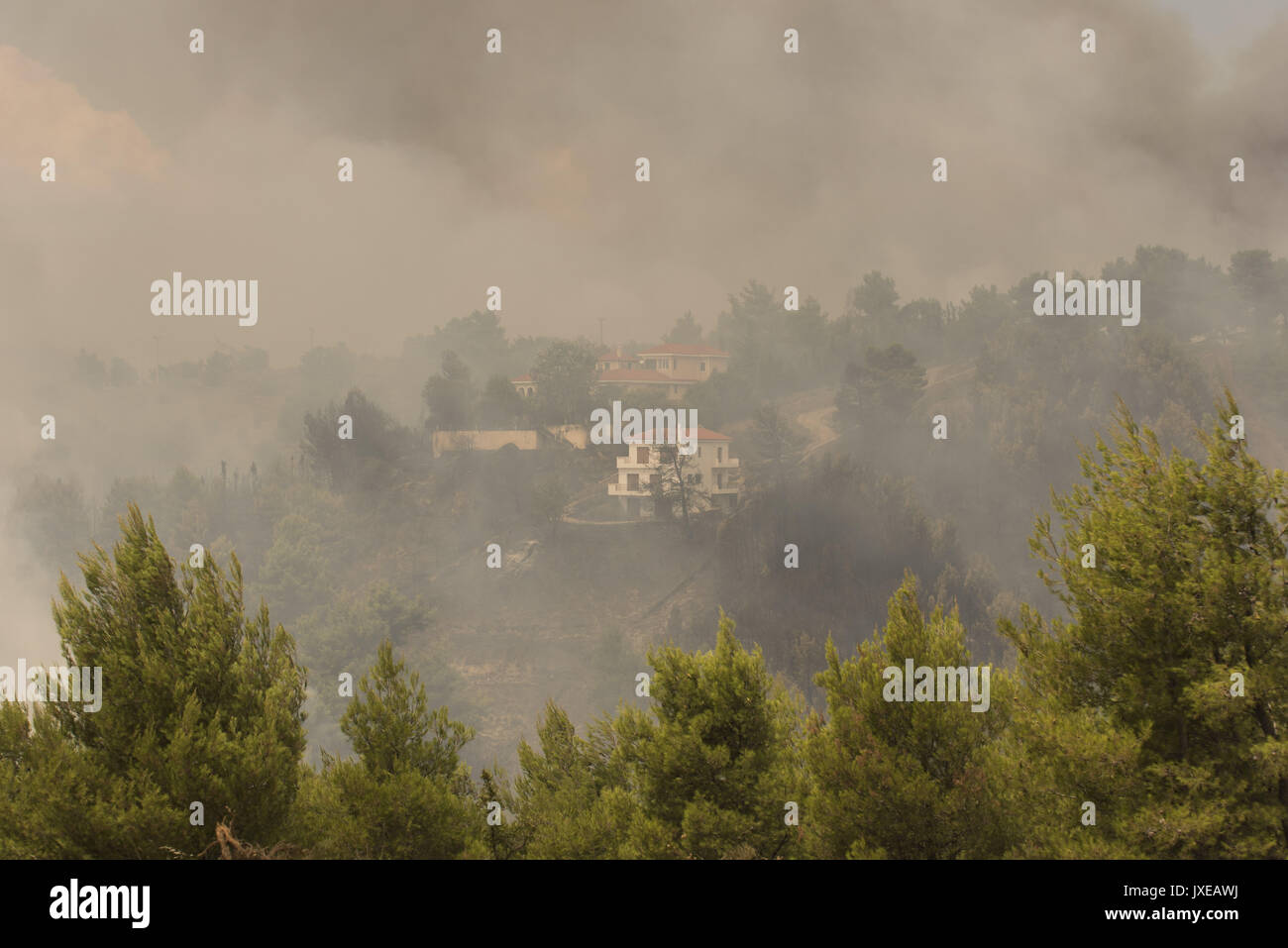 Athens, Greece. 15th Aug, 2017. Firefighters with the assistance of ...