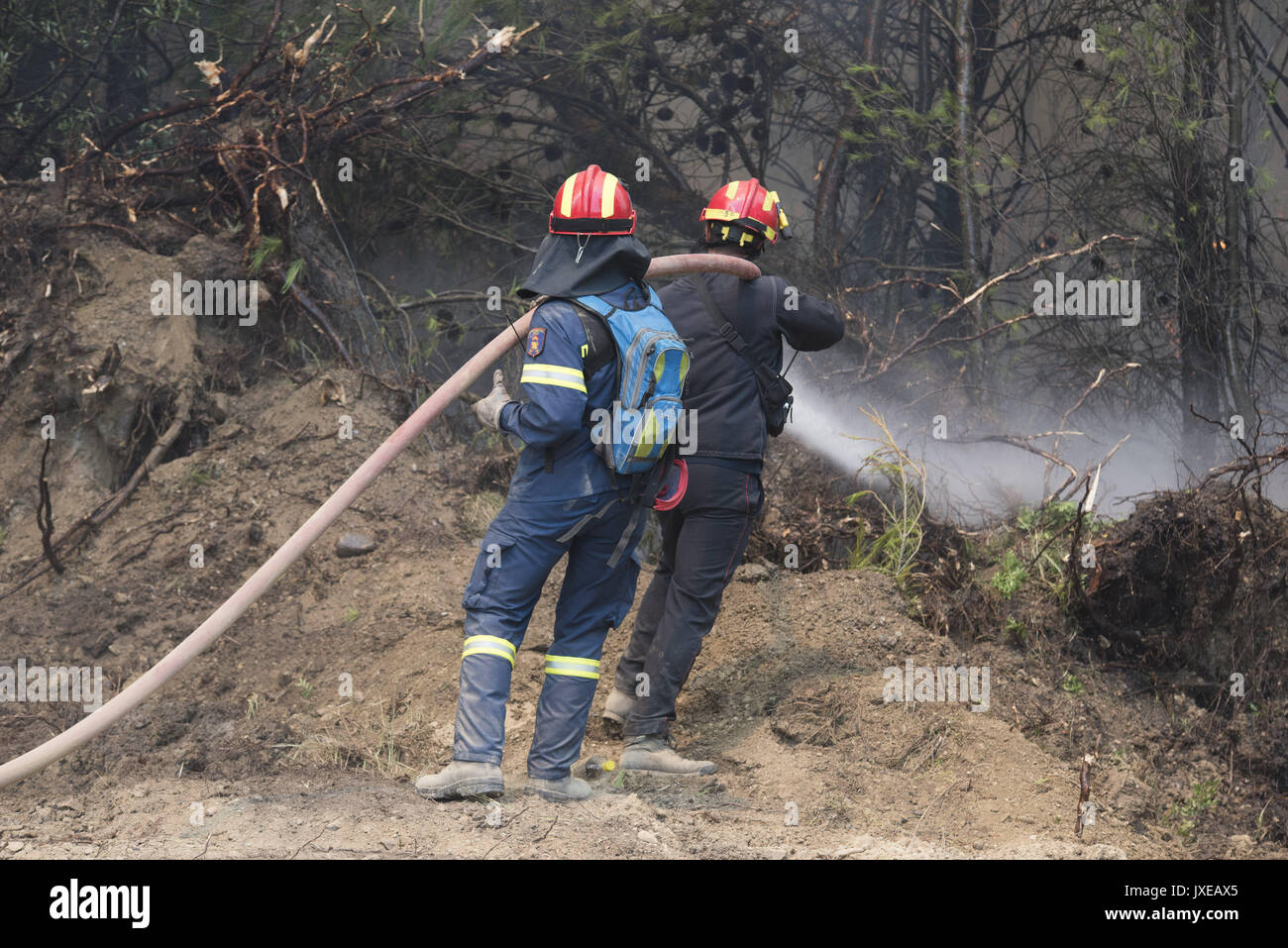 Athens, Greece. 15th Aug, 2017. Firefighters with the assistance of ...