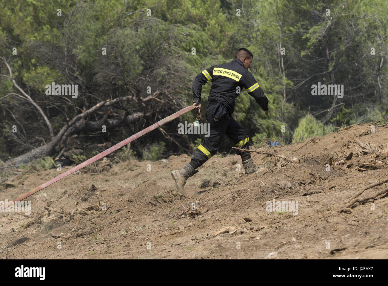 Athens, Greece. 15th Aug, 2017. Firefighters with the assistance of ...
