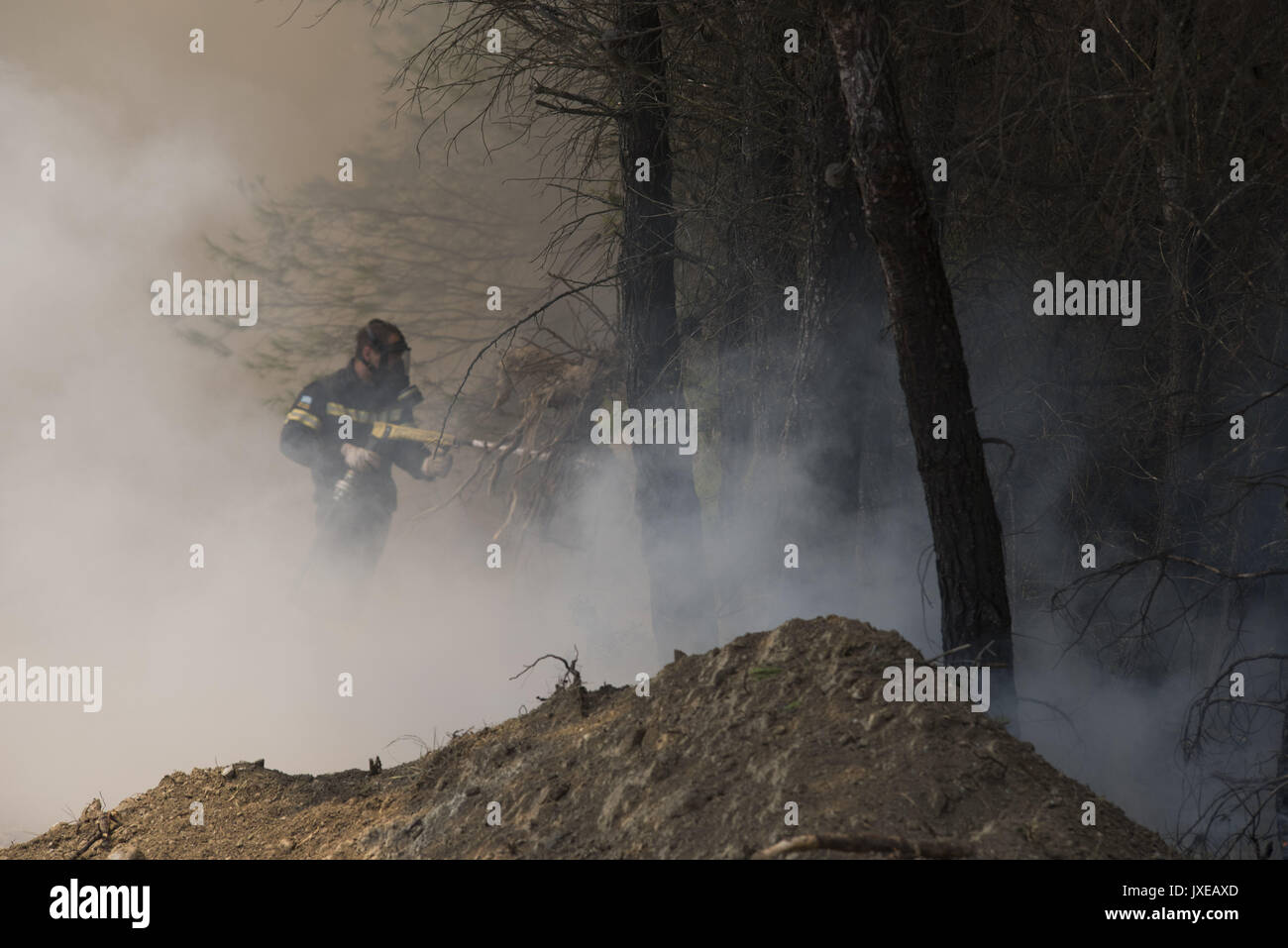 Athens, Greece. 15th Aug, 2017. Firefighters with the assistance of ...