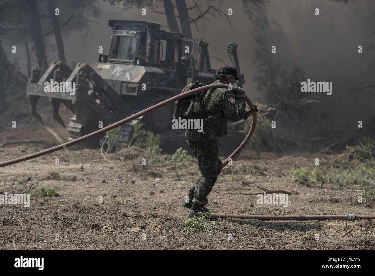 Athens, Greece. 15th Aug, 2017. Firefighters with the assistance of ...
