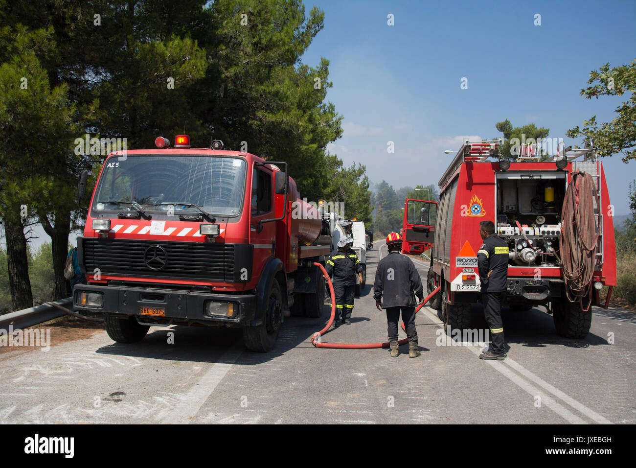 Attica, Athens, Greece. 14th Aug, 2017. Firefighters with the ...