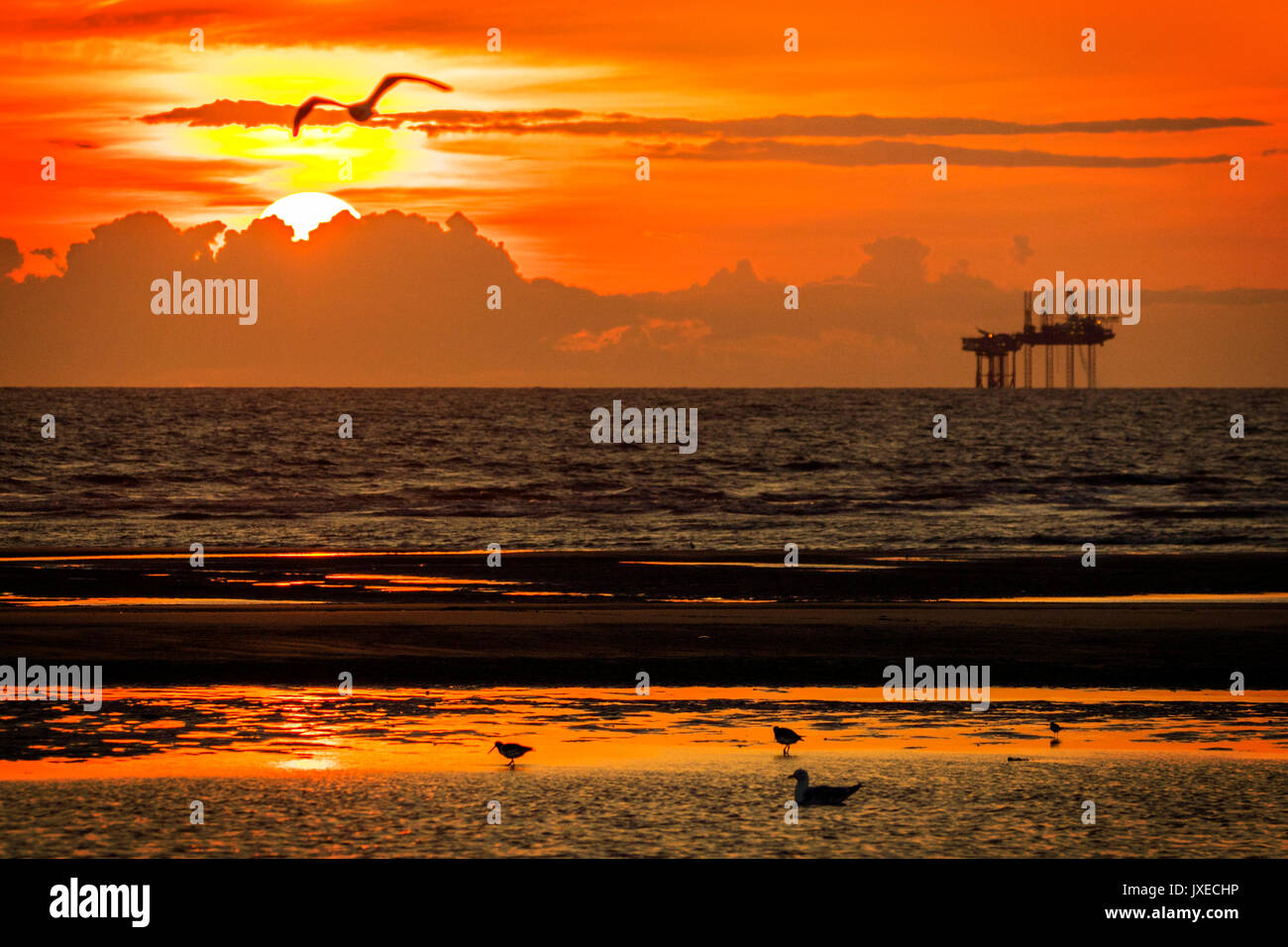 Oil rig platform module hi-res stock photography and images - Alamy