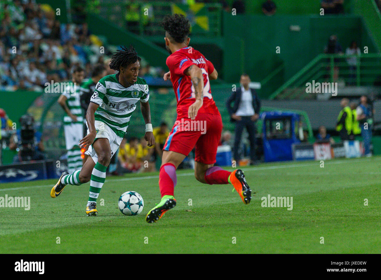 Morais brazil hi-res stock photography and images - Alamy