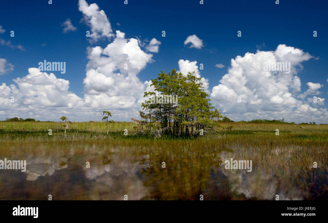 Critical ecosystem hi-res stock photography and images - Alamy