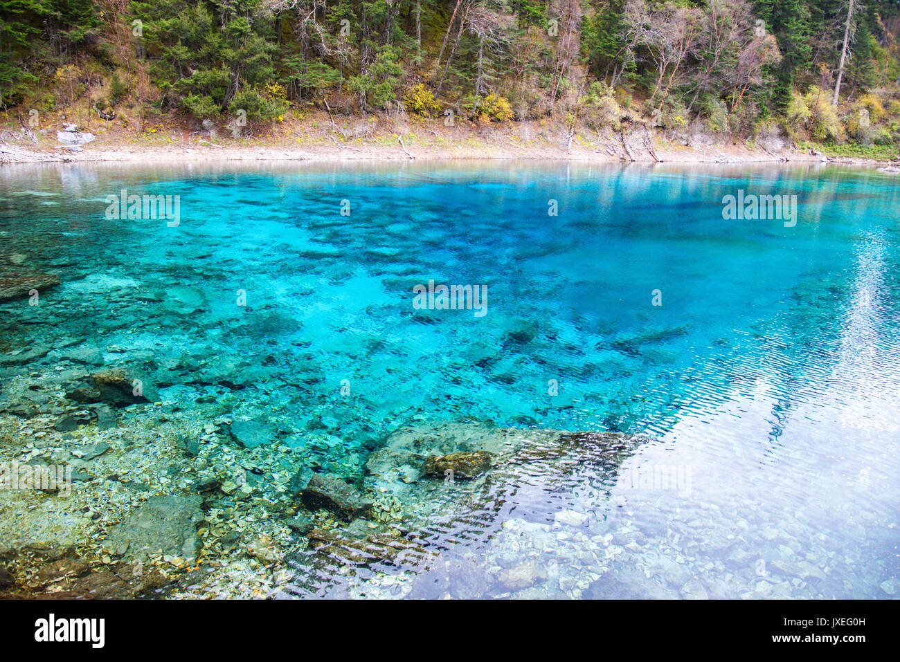China. 16th Aug, 2017. Scenery of the Colorful Pool at Jiuzhaigou ...