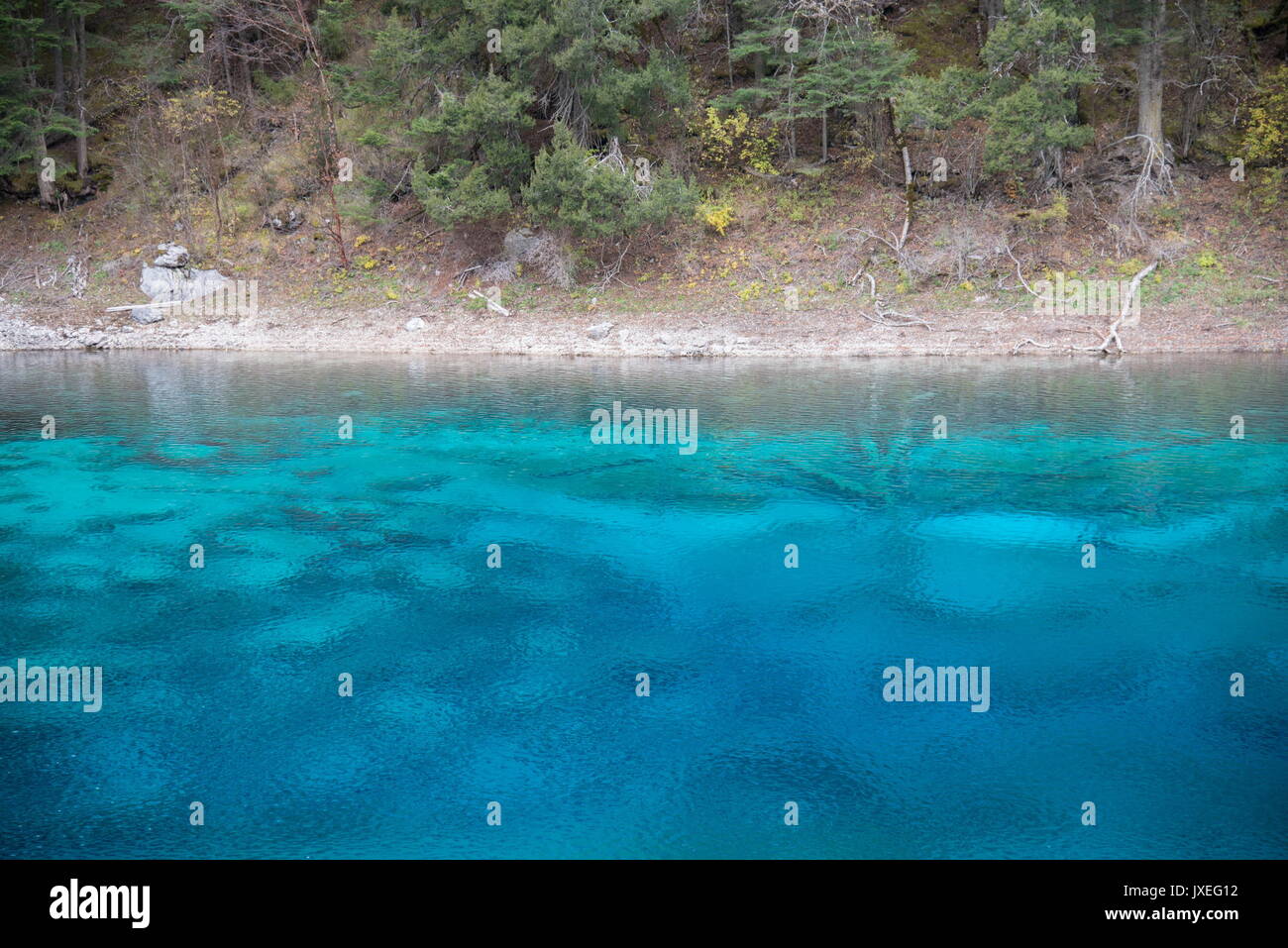 China. 16th Aug, 2017. Scenery of the Colorful Pool at Jiuzhaigou ...