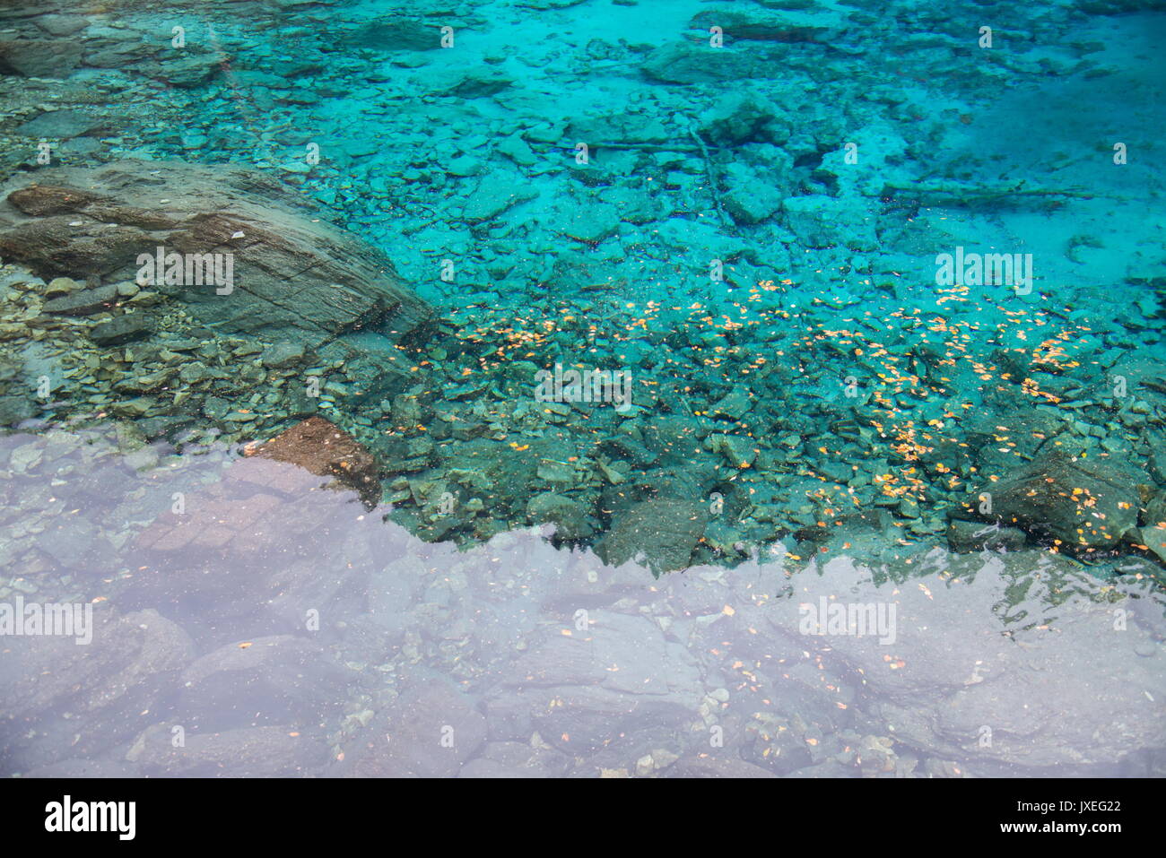 China. 16th Aug, 2017. Scenery of the Colorful Pool at Jiuzhaigou ...