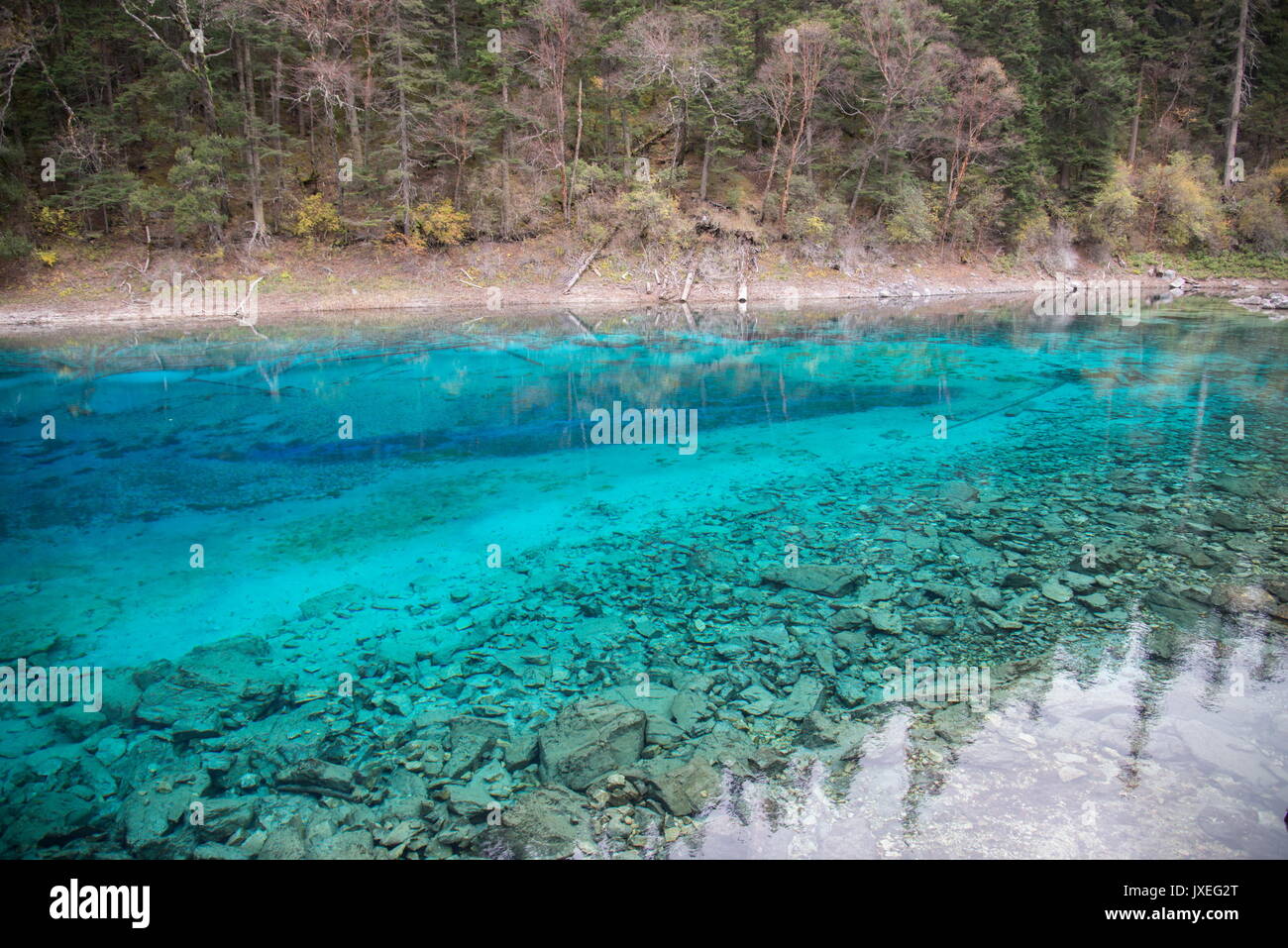 China. 16th Aug, 2017. Scenery of the Colorful Pool at Jiuzhaigou ...