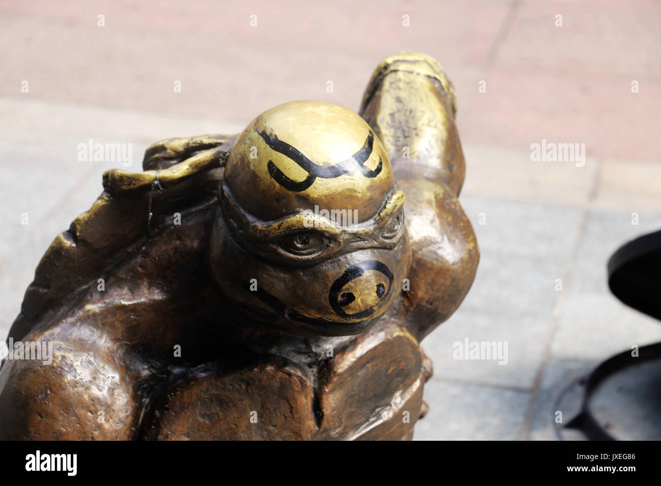 Chongqing, China. 15th Aug, 2017. Creative sculptures of Teenage Mutant ...
