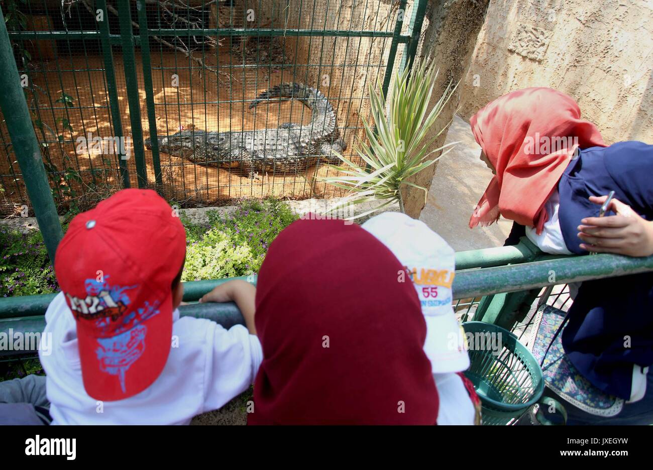 Qalqilya, West Bank, Palestinian Territory. 12th Aug, 2017. A picture ...