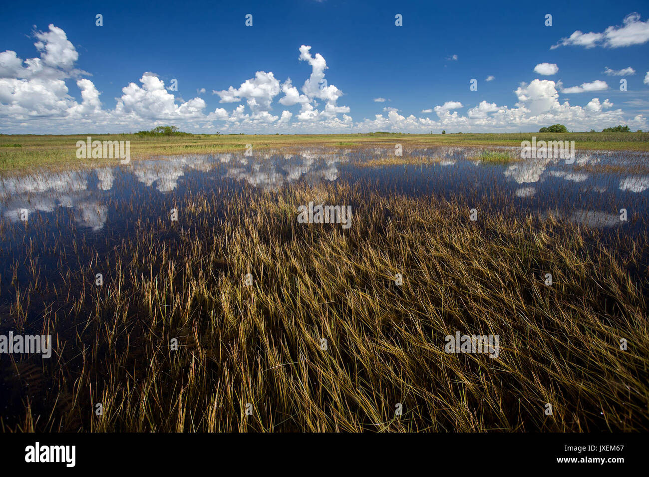 Water Conservation Area 3a High Resolution Stock Photography and Images ...