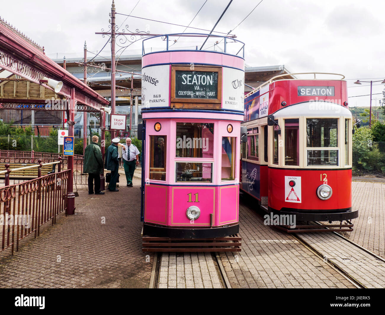 Narrow gauge tramcars on the Seaton Tramway, a tourist attraction ...