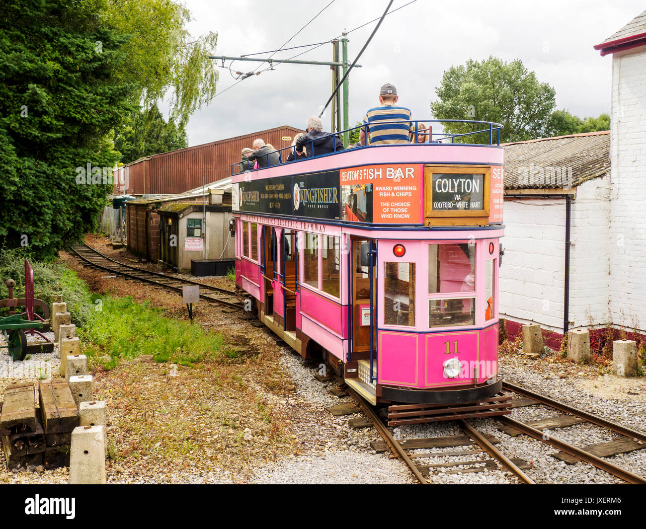 Narrow gauge tramcars on the Seaton Tramway, a tourist attraction ...
