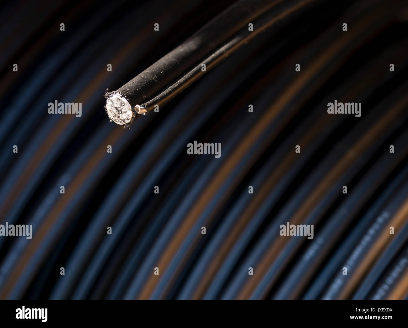 Optical fibre cable cut in half with blurred background Stock Photo - Alamy